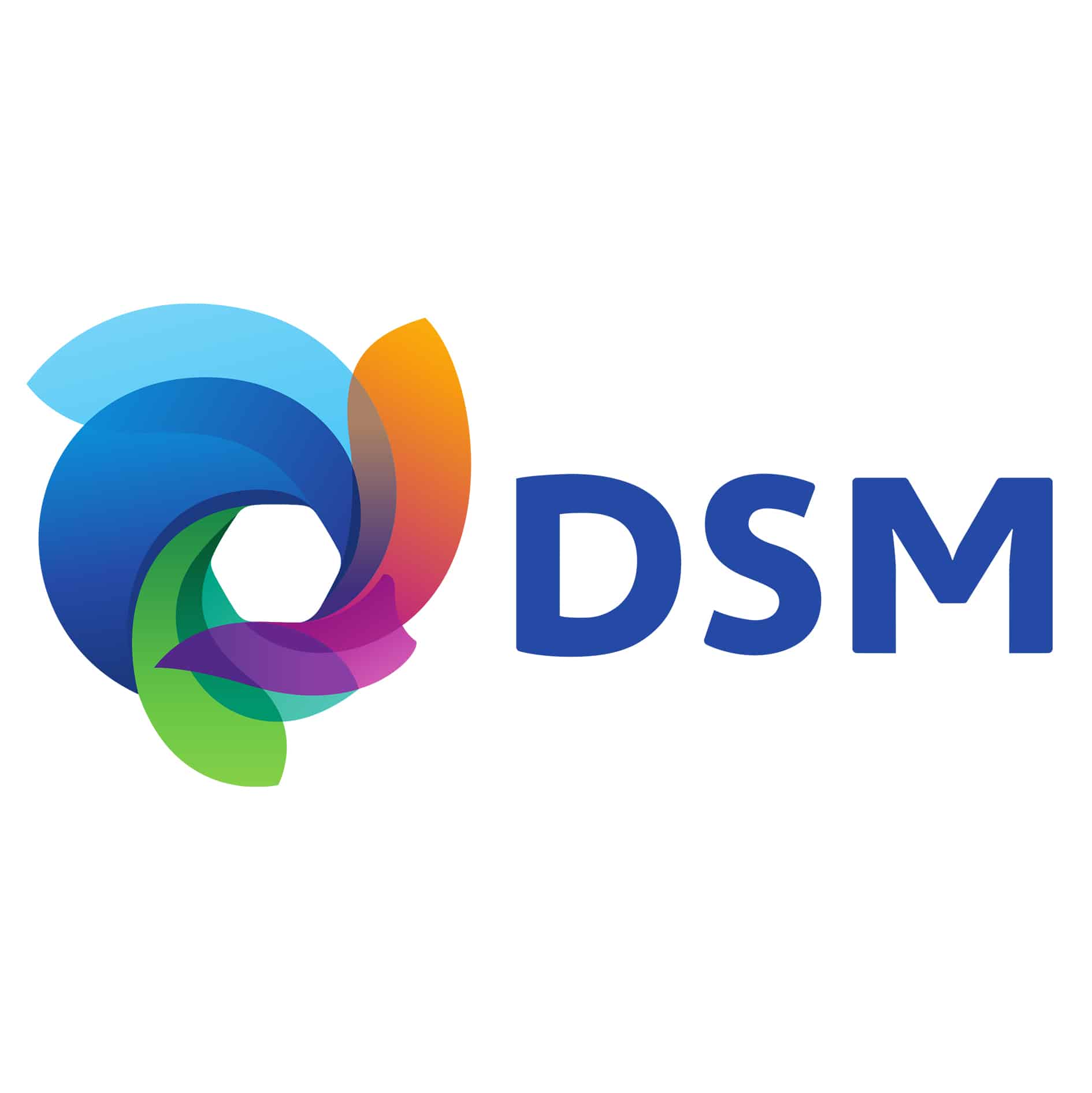 DSM – MakeAdditive Srls